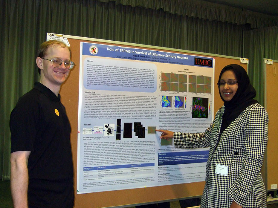 Lab Photos – Weihong Lin Lab – UMBC