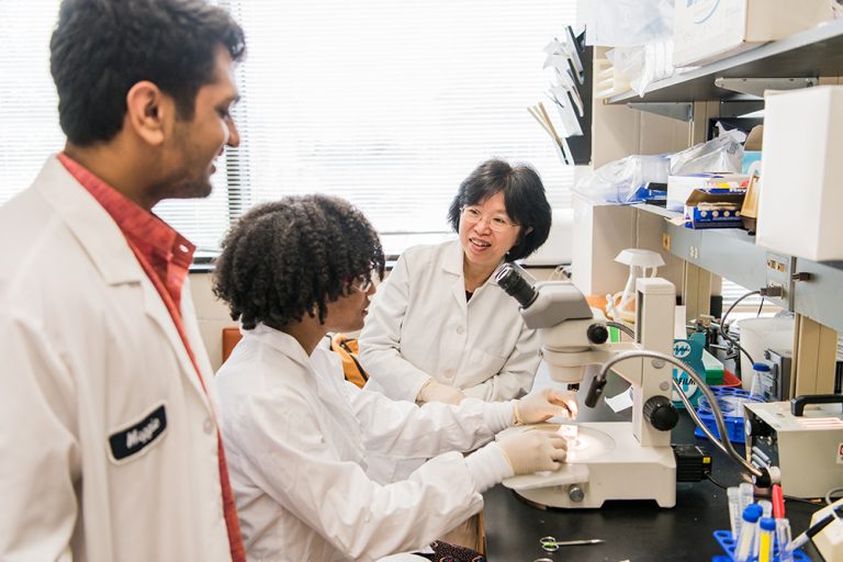 People – Weihong Lin Lab – UMBC