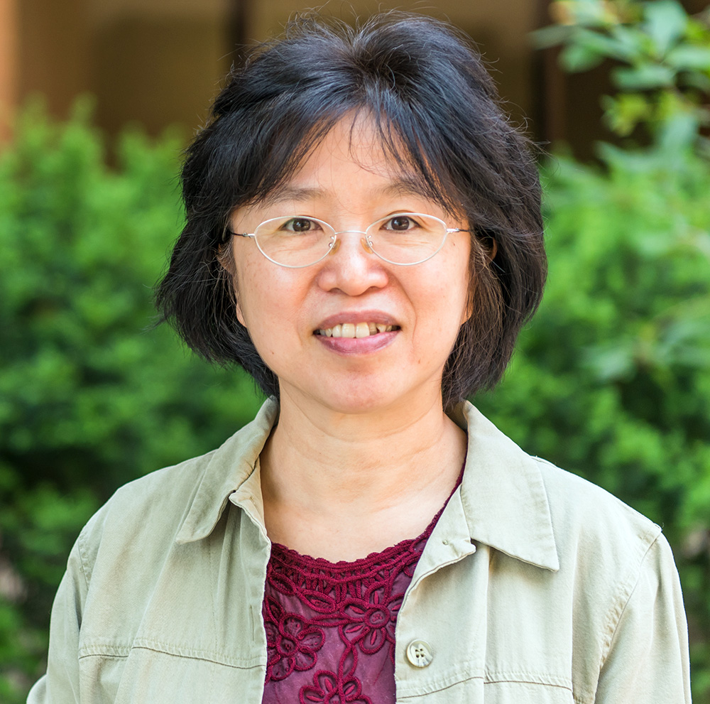 People – Weihong Lin Lab – UMBC
