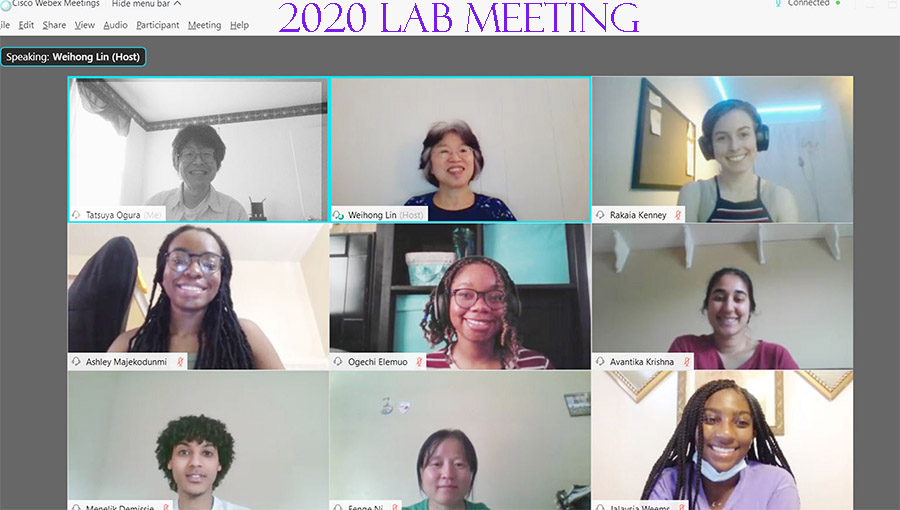 Lab Photos – Weihong Lin Lab – UMBC