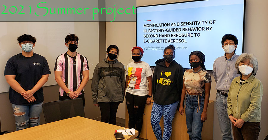 Lab Photos – Weihong Lin Lab – UMBC