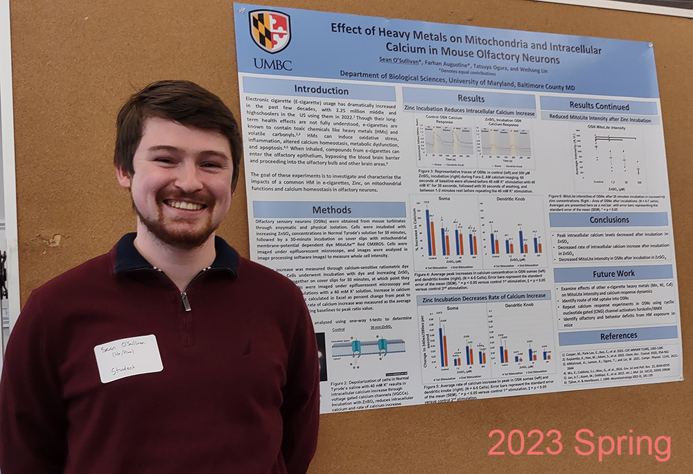 Lab Photos – Weihong Lin Lab – UMBC